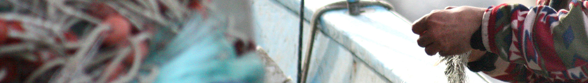 Publications - Groupement d'intérêt scientifique VALPENA